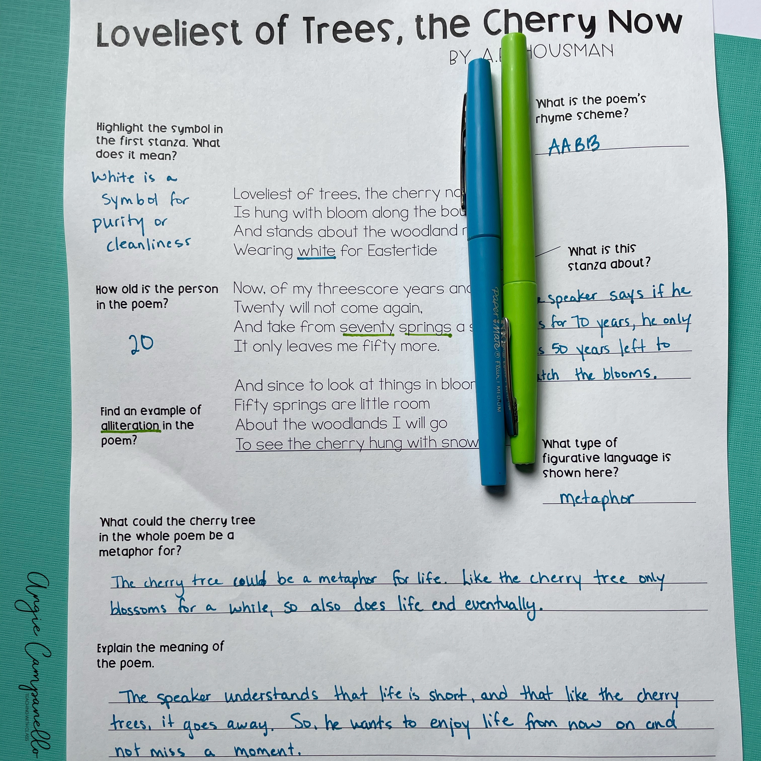 Poetry Analysis and Annotation - Angie Campanello